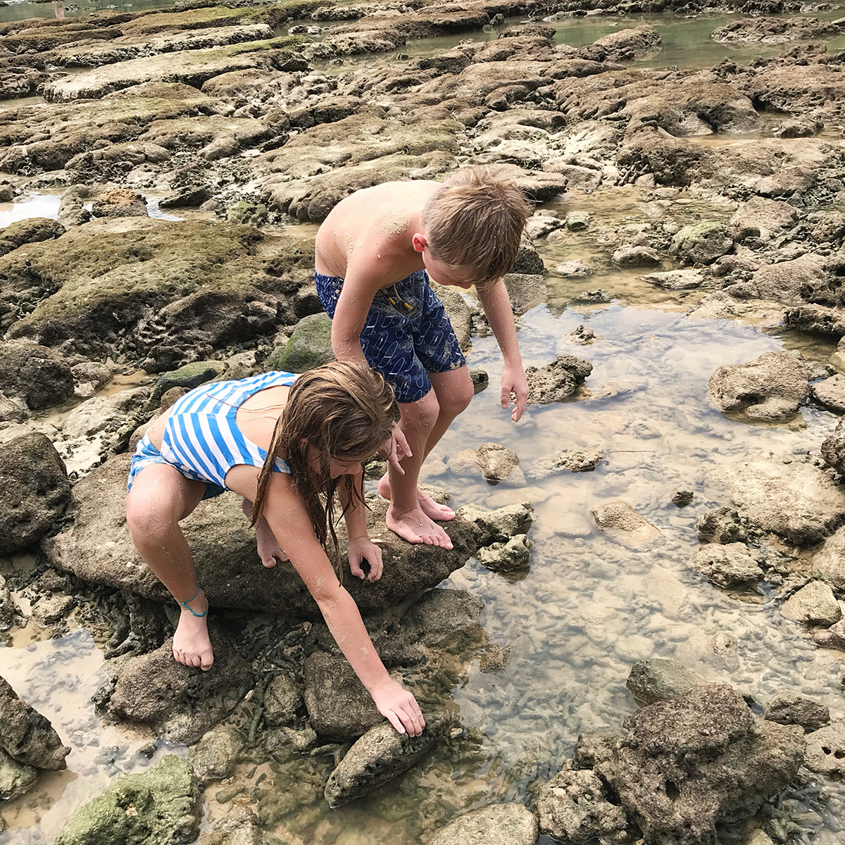 Explore Australia’s Most Popular Ocean Rock Pools