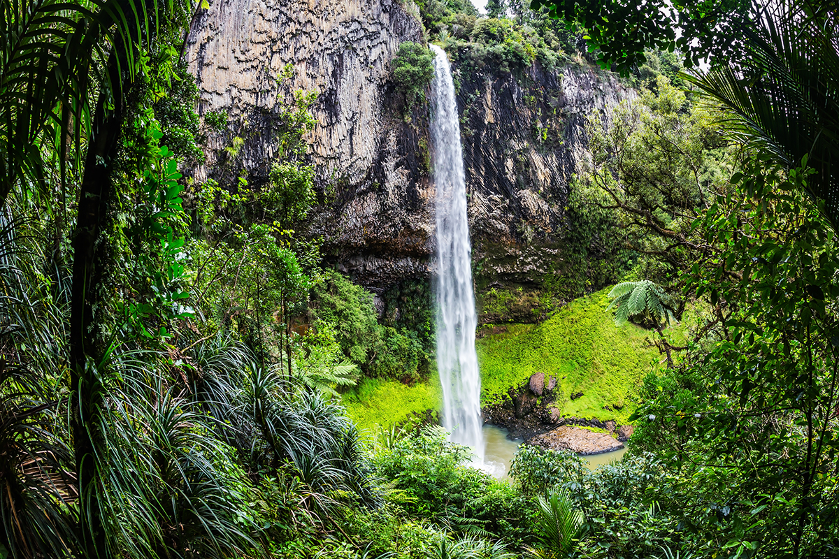 Top Waterfalls in New Zealand