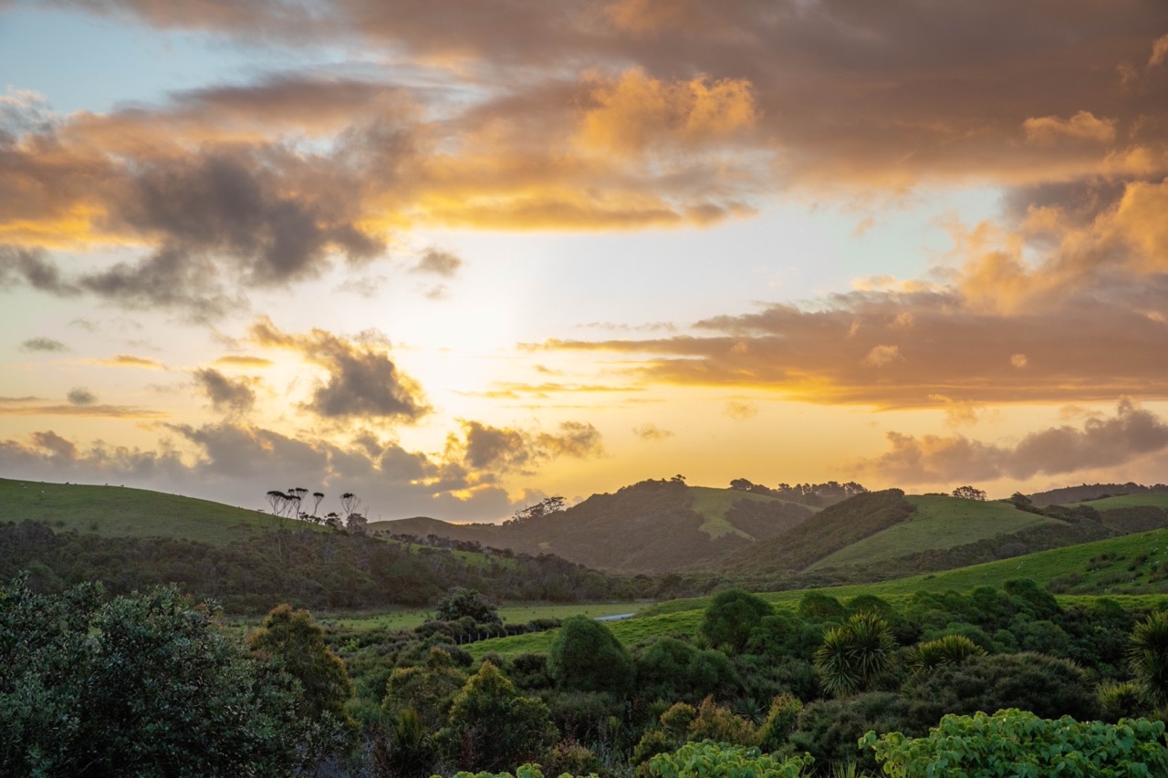Exploring Northland’s Beautiful Beaches in Style