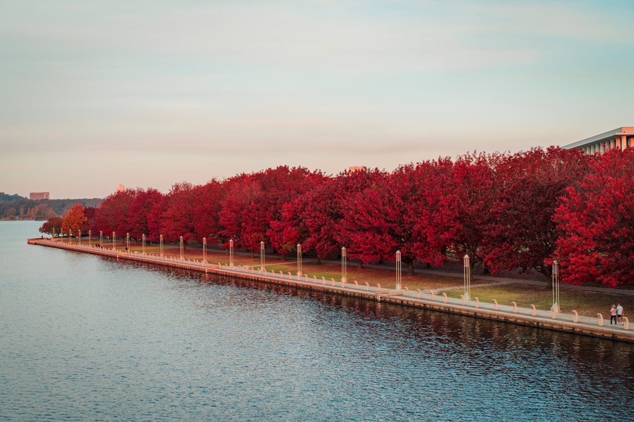 Sydney to Canberra Road Trip