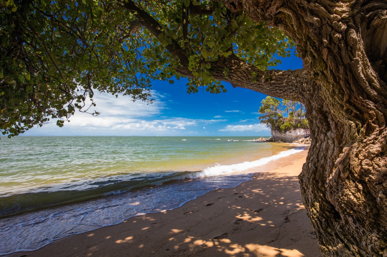 Brisbane's Best Beaches