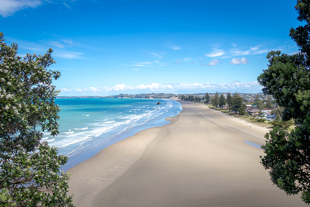Hidden Treasures of Auckland’s Hibiscus Coast