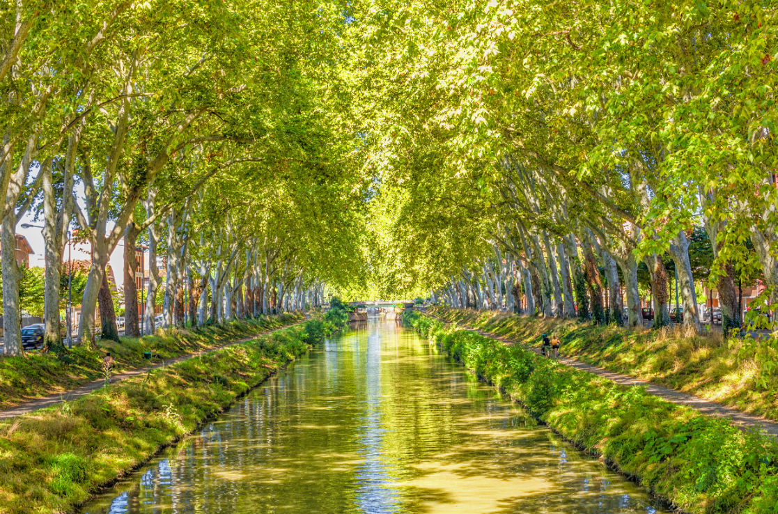 Things to do in Toulouse