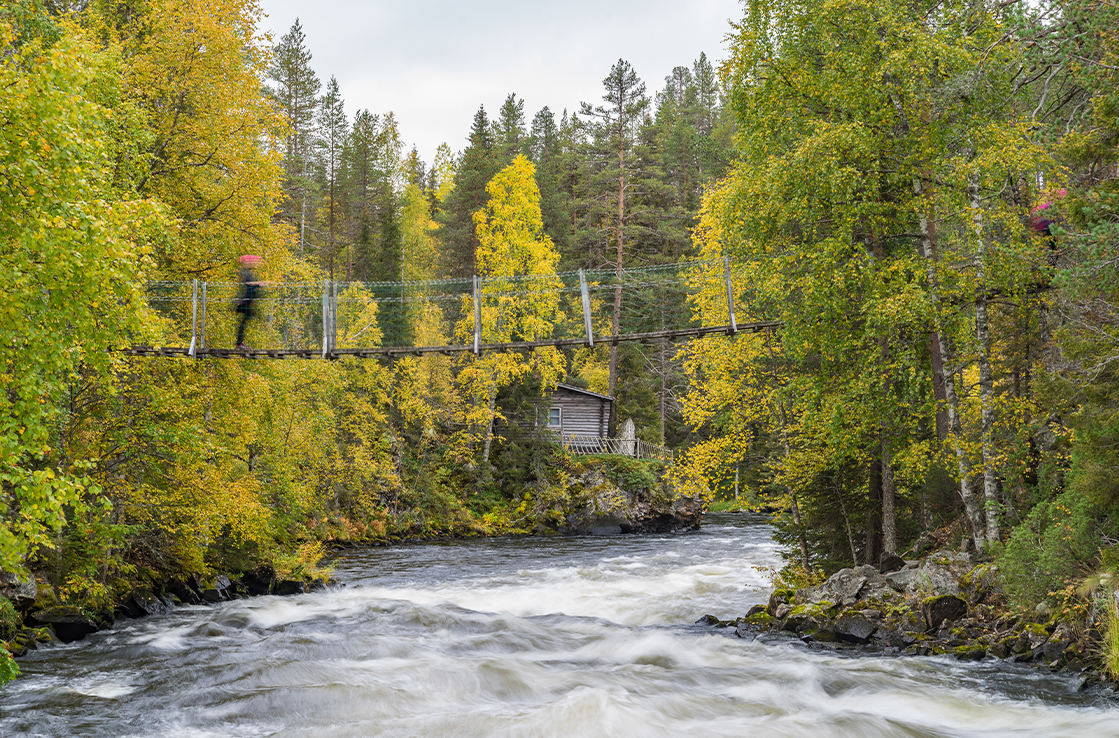Suomen kosket - Koski on vesiväylän virtapaikka | Hertz