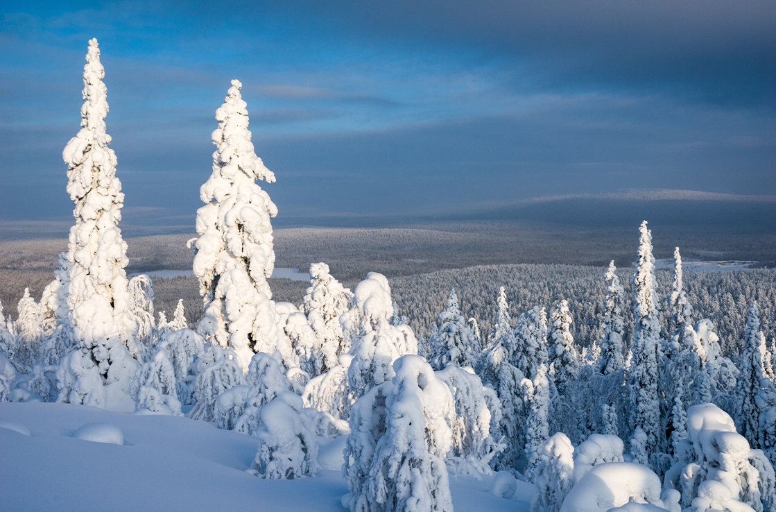 Suomen tunturit ja vaarat | Hertzin matkassa