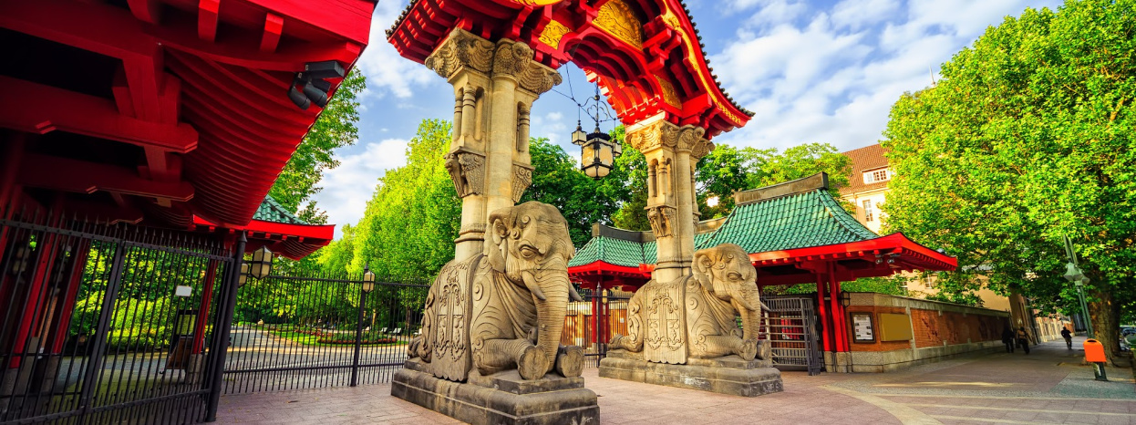 Die Bären von Berlin: Der Berliner Zoo und seine Wildtiere