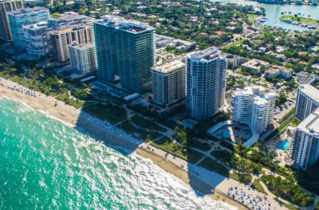 Vacaciones salvajes en Miami