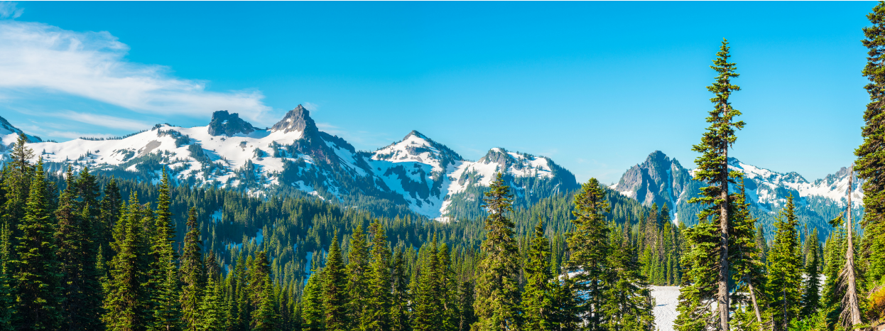 Visitando el estado de Washington