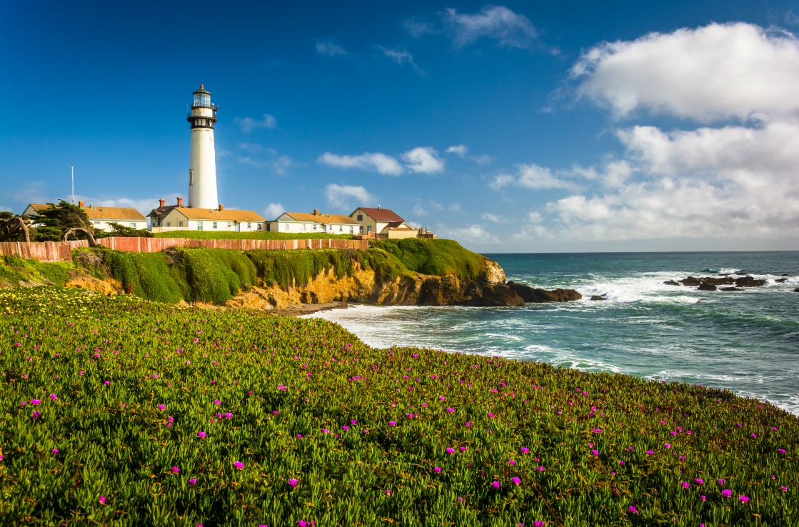 Santa Cruz, la ciudad del surf