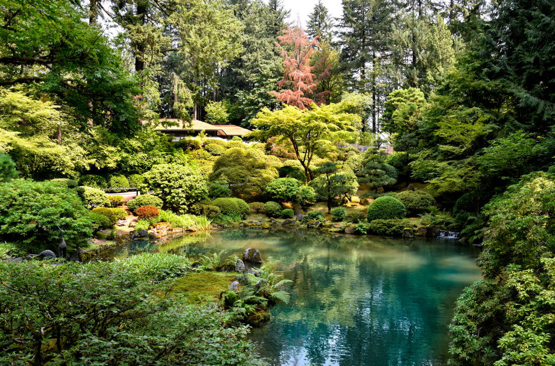 Les endroits les plus beaux de Portland à visiter