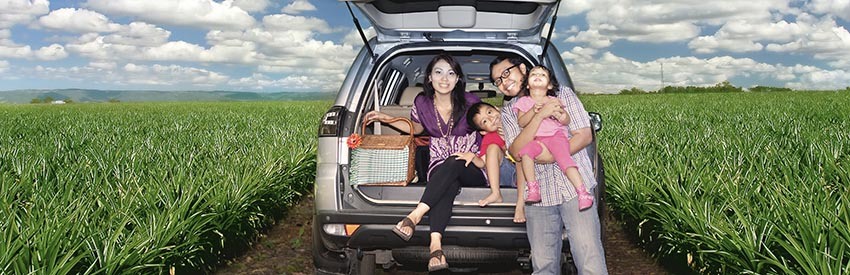 Darwin Travel Tips: Being Extra Careful When Driving The Outdoors