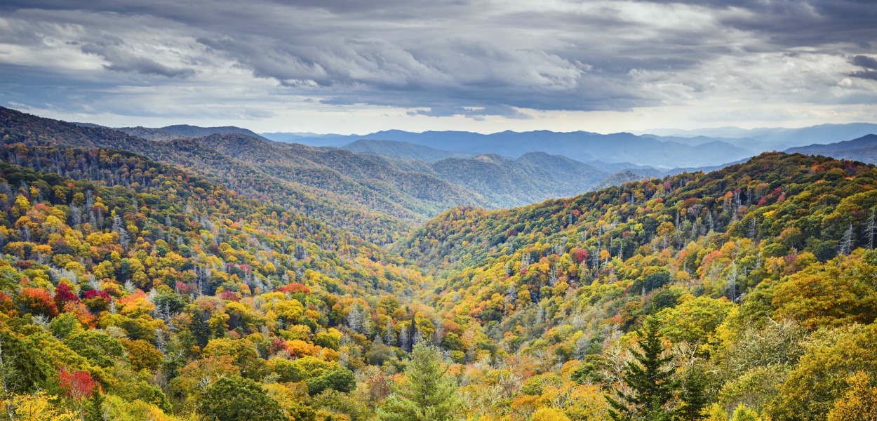 Découvrez le Tennessee avec ces 5 road trips