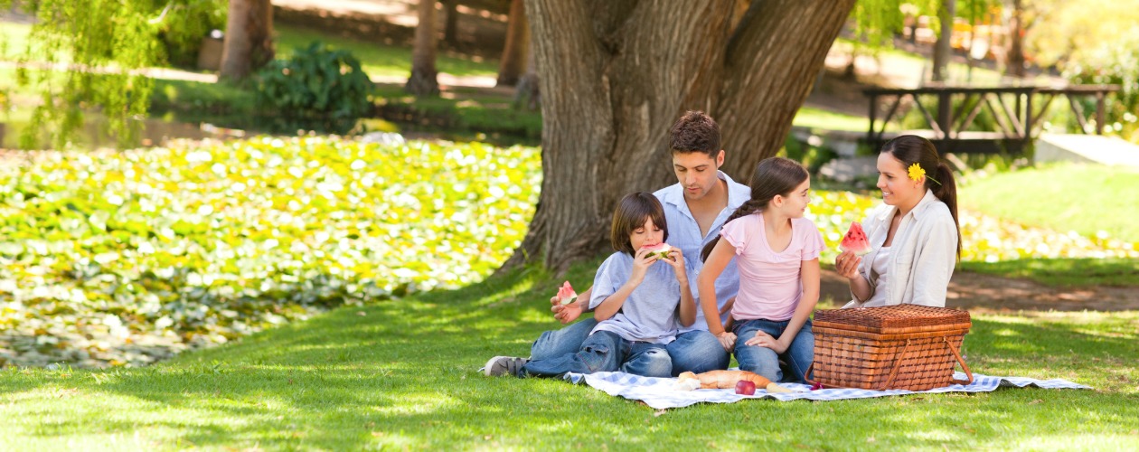 Picnic at The Meadows