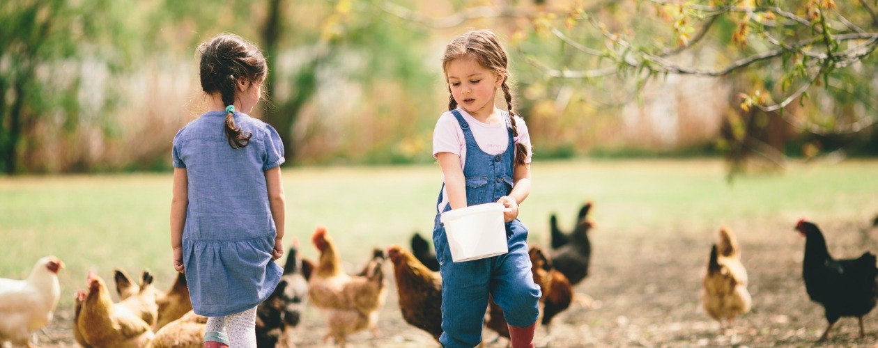 Stonebridge City Farm