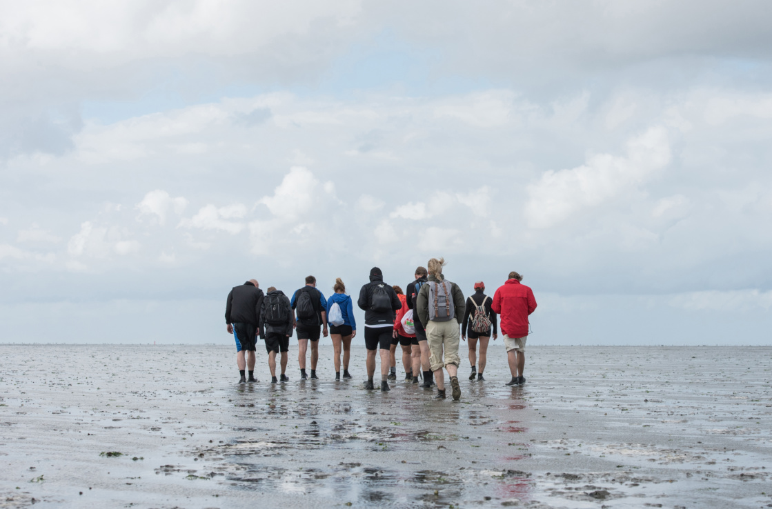 Ontdek de unieke natuur van de Waddeneilanden | Hertz