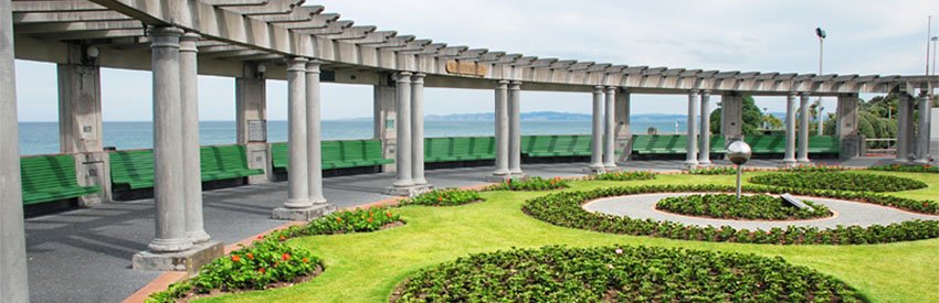 Discover Napier in a rental car