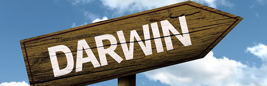 The Bombing of Darwin WWII Heritage Tour