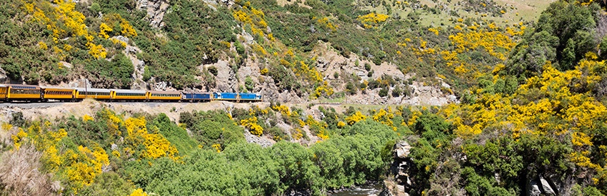 A guide to the Otago Rail Trail
