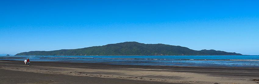 Where to see wildlife in Wellington with a Wellington airport car rental