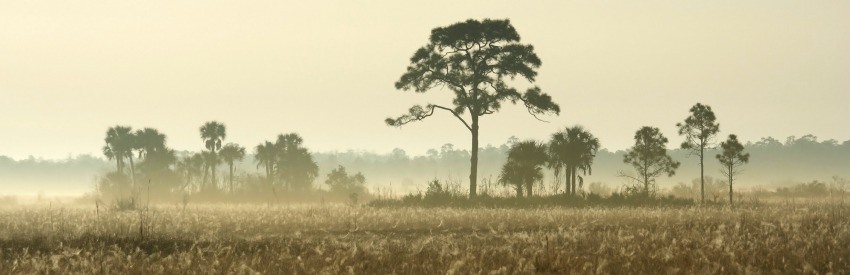 Outdoor-Highlights der USA