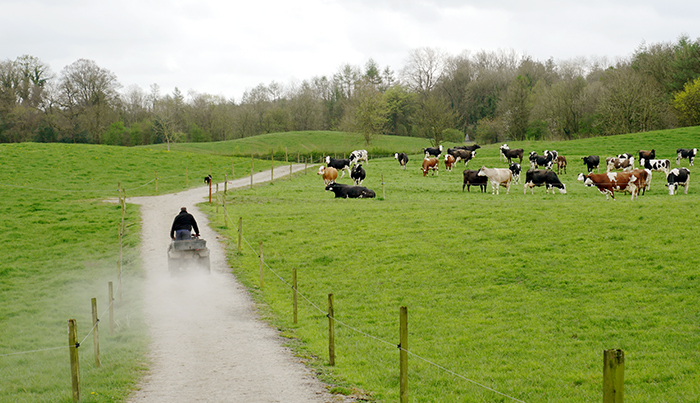Delicious drives in the UK: Lancaster to the Cartmel Peninsula, via Kendal