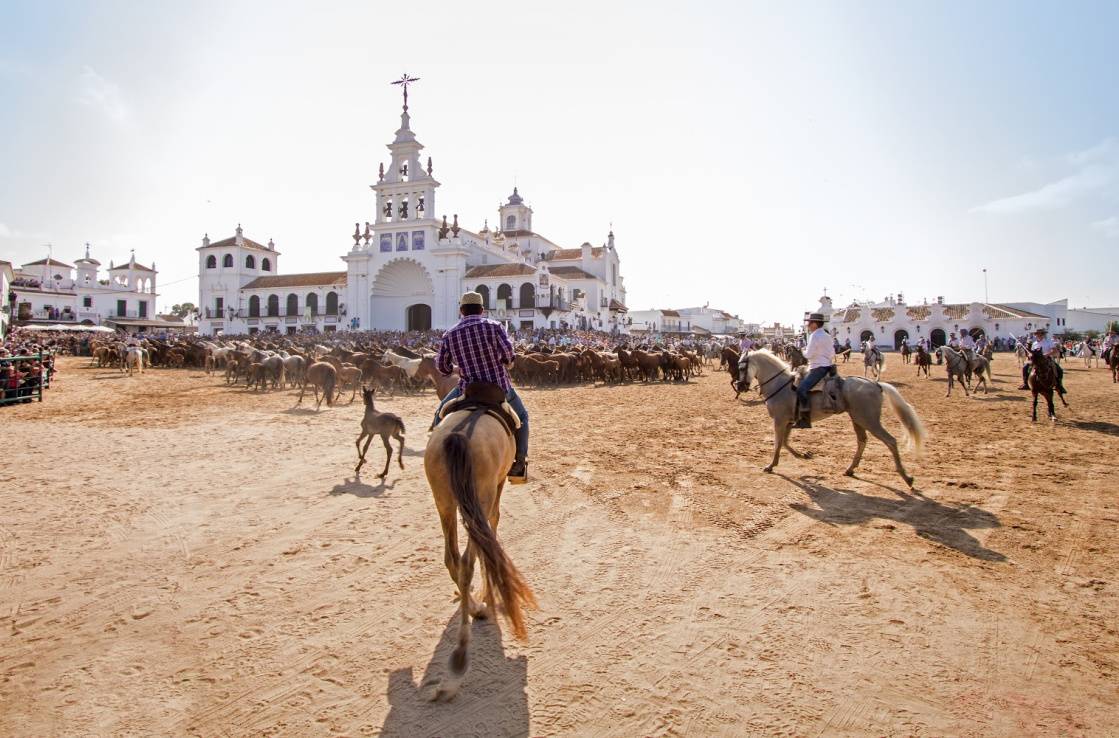 15 amazing things you can only see in Andalucía
